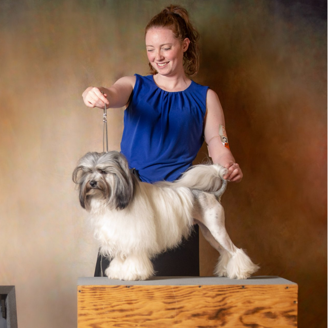 Fort Collins Dog Grooming: Nail Trimming & Bathing | K9 Corral